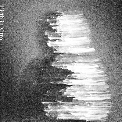 出荷目安の詳細はこちら商品説明東京都内で活動する4人組ロックバンドfulusuのNew EP「Birth in Vitro」“硝子の中で産まれる”孤独と閉塞を描く、4人のみで研ぎ澄ました全曲。爆音と張り詰めたアンサンブルが、現代に息づく倦怠...