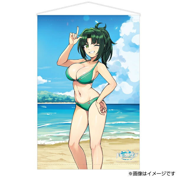 『ドルフィンウェーブ 公式イラスト集 OFFICIAL VISUAL COLLECTION』の描き下ろし表紙イラストがタペストリーになりました。全4種。 サイズ：B2縦メーカー名：ホビージャパン形態：キャラグッズメーカー型番：4981932...