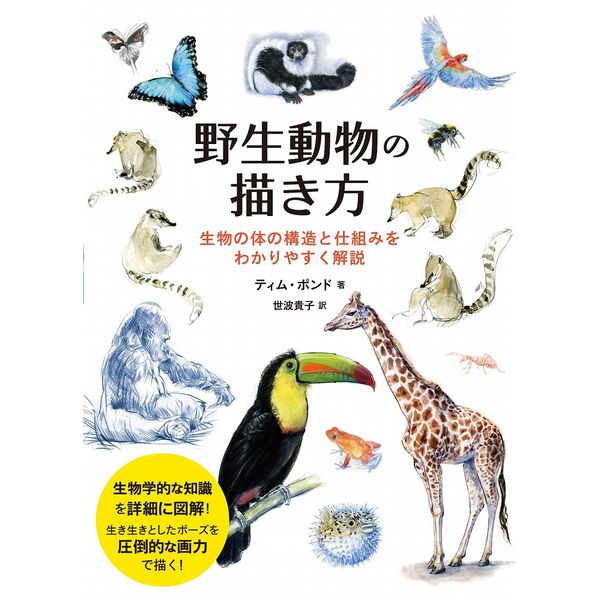 動物スケッチに欠かせない解剖図を豊富に収録こちらの意志通りにじっとしていてはくれない動物をスケッチすることは、難しい反面、やりがいがあるチャレンジでもあります。素早く生き物たちの姿をとらえるためには、練習を何度も繰り返すこととはもちろん大切...