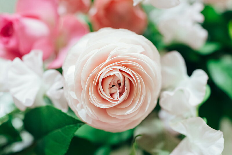 アートパネルやアートボードでおしゃれな部屋に！壁掛けファブリックパネル artmart 商品の特徴 artmartは自分のお部屋に合わせて好みのアートが選べる画期的なアートボードです。高級キャンバス地に次世代高解像度プリンターで鮮明かつ耐久...