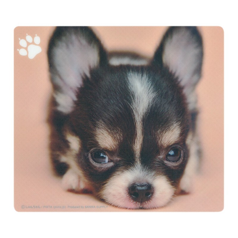マウスがスムーズ、SmooZoo。特長●動物のかわいい写真を印刷した動物マウスパッドです。●表面のドット加工により、ブルーLEDなどの光学式マウスでもレーザー式マウスでもスムーズで正確なマウス操作が可能です。●薄さ0.6mmで机との段差を押...
