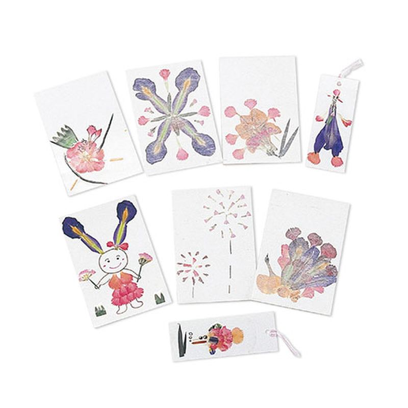 図工・工作・クラフト・ホビー簡単に押し花のはがきや、しおりができるキットです。手づくりギフトに！季節に応じて、すてきな押し花ができるセットです。簡単に押し花ができる乾燥シートが入っています。商品サイズ(単位mm):244×198mmセット内...