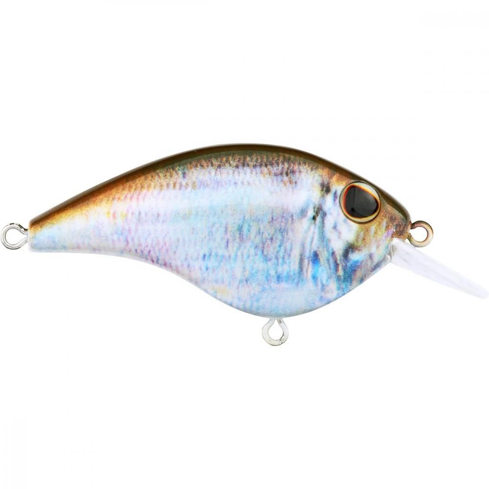 BERKLEY バークレイ フリットサイド5JR BHBFS5JR-HDBBH HDブルーバックヘリング