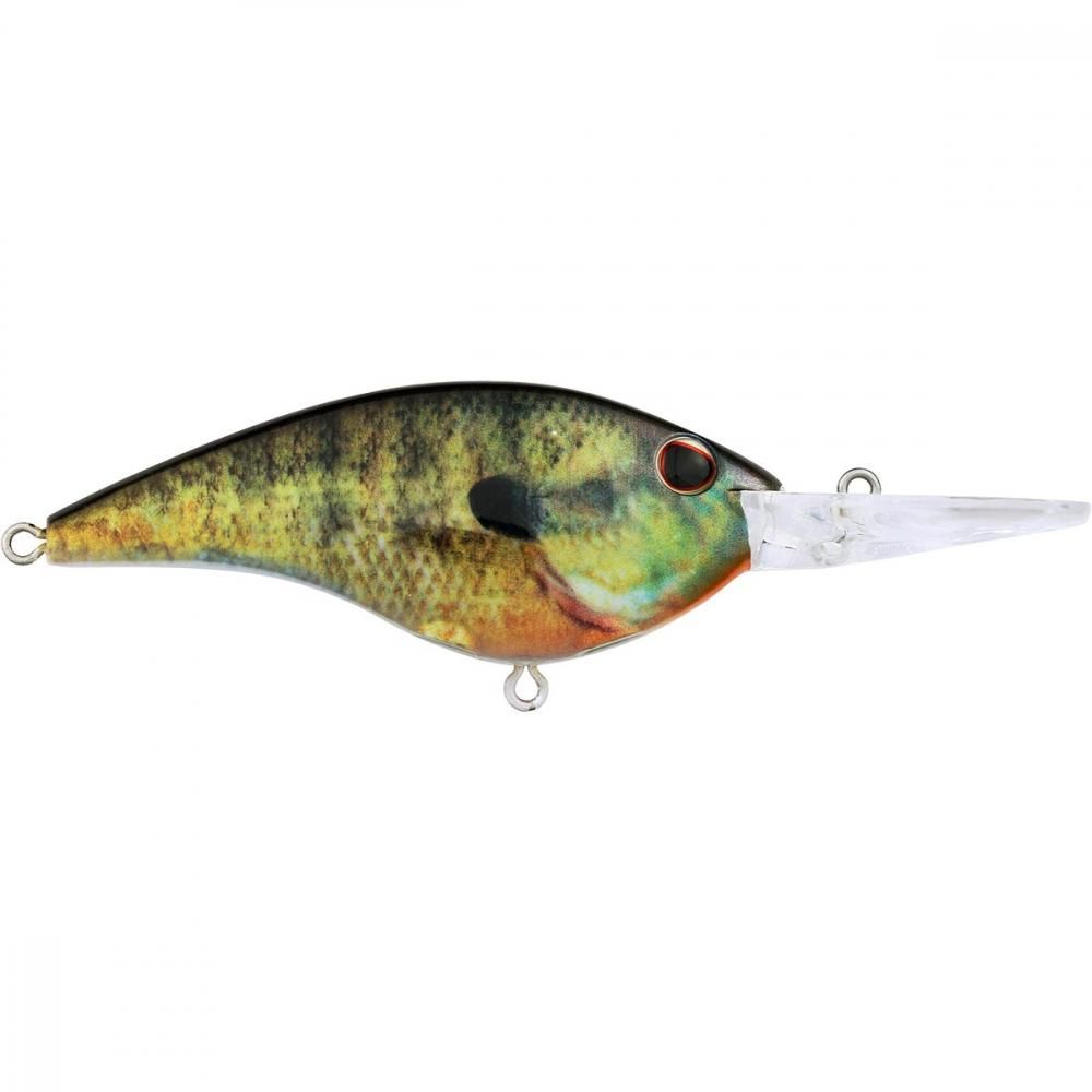 BERKLEY バークレイ フリットサイド9 BHBFS9-HDBLG HDブルーギル