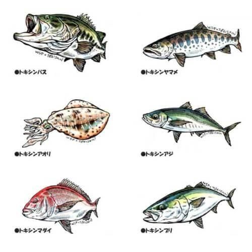 Waterside Peter Pan ウォーターサイドピーターパン WSP*トキシンコラボステッカー トキシンアジ Rサイズ