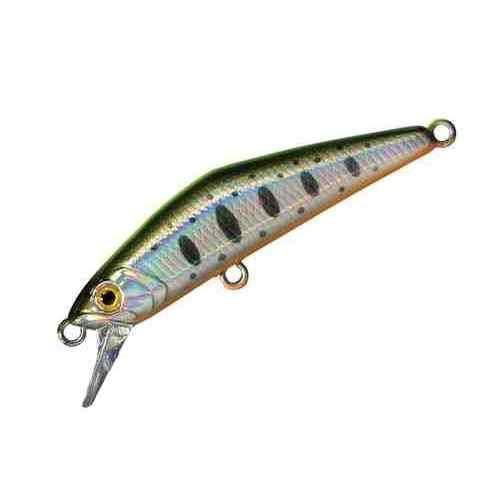 SMITH スミス Dコンパクト45 #13 チャートバックヤマメ