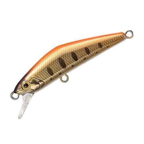 SMITH スミス Dコンパクト38 #10 オレンジハク