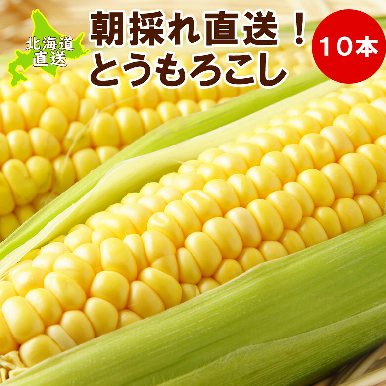 ◇やっぱり！とうもろこしは北海道が1番美味しい 北海道は内陸性気候のため、昼夜の寒暖差が激しく、 甘くてジューシーな美味しいとうもろこしが育ちます 太陽の光を浴びてとうもろこしは甘さがぐんぐん上昇、 一方、夜になると冷え込みで植物の呼吸活性...