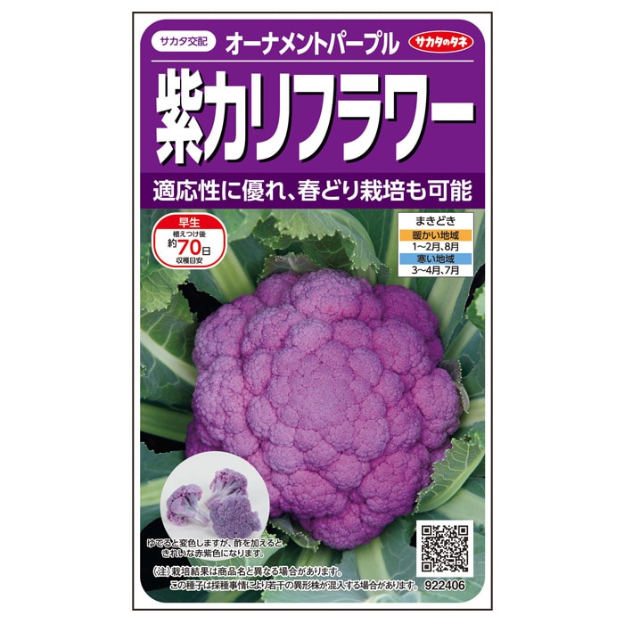 サカタ交配 紫カリフラワー オーナメントパープル 約25粒 実咲野菜 葉菜 サカタのタネ 鮮やかな紫カリフラワー ■品種特性鮮やかな紫色で、ゆでても花蕾の色は残ります。ゆでる際に酢を用いると一層鮮やかな赤紫色になります。秋どりだけでなく、春...