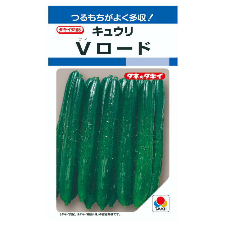 タキイ交配 Vロード 胡瓜 DF10粒 野菜のタネ キュウリ つるもちがよく多収 ・ウイルス病（特にZYMV）・べと病・うどんこ病に耐病性の夏秋キュウリで、つるもちが特によい。・長期にわたり安定した栽培ができ、秀品率が高い。・平均果長は21...
