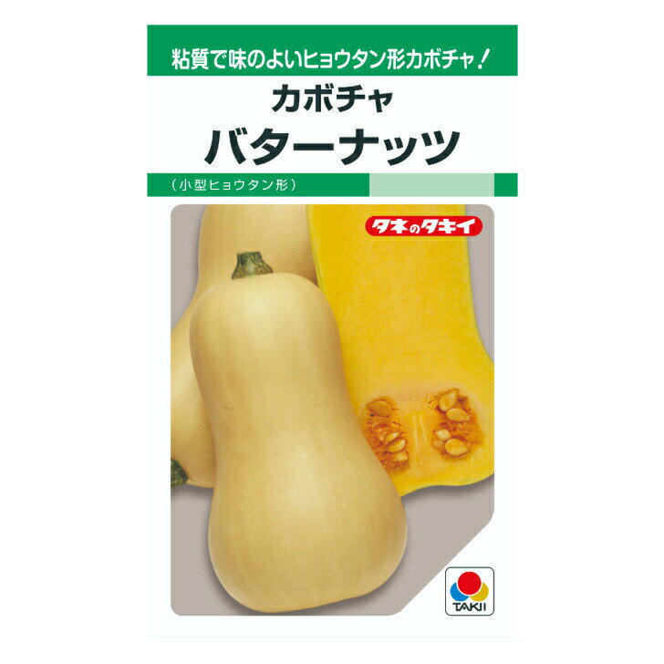 タキイ種苗 バターナッツ 南瓜 GF16粒 野菜のタネ カボチャ 粘質で味のよいヒョウタン形カボチャ ・ポタージュスープに最適・果重800g程度、黄褐色の果皮で濃厚な肉質・1つるで2〜3個着果、交配後30日程度で収穫可能 5