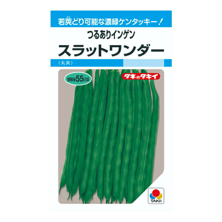 タキイ種苗 つるありインゲン スラットワンダー MF27ml 野菜のタネ 若莢どり可能な濃緑・良質のケンタッキー ・長さ20〜21cm程度のケンタッキータイプ・肉質はやわらかく良質・栽培の容易なつるあり種 5
