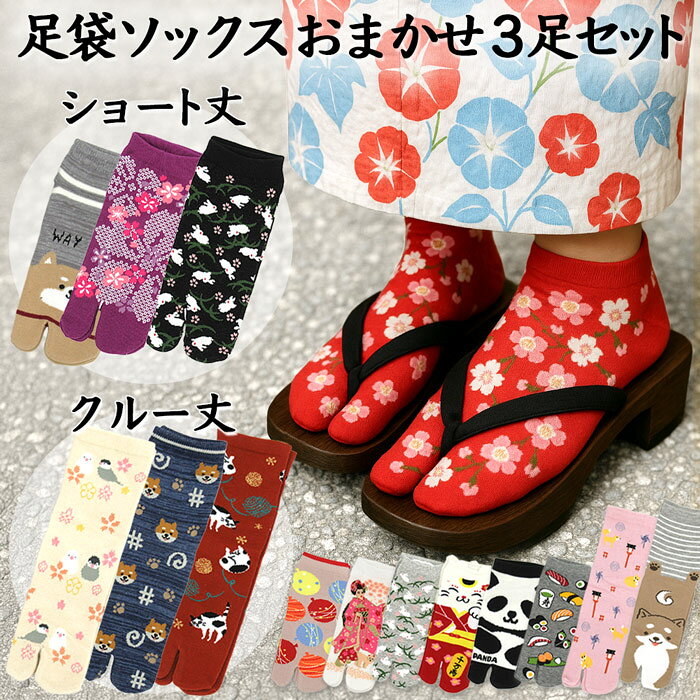 あなたにオススメの商品はこちら↓ ↓ ↓ ▼▼ 5本指ショートソックスはこちら ▼▼ ▼▼ 5本指クルーソックスはこちら ▼▼ カテゴリから探す↓ ↓ ↓・色柄おまかせレディース足袋型ソックス3枚組 ・選べるショート丈orクルー丈 3足セッ...