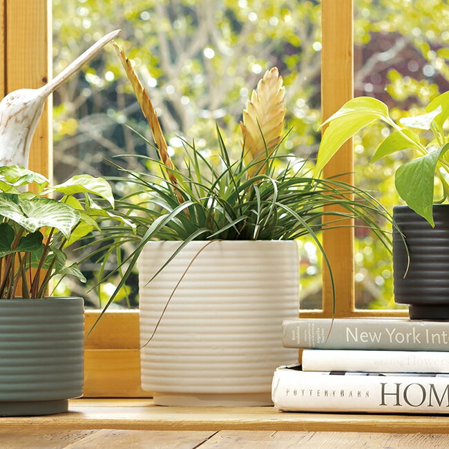 しっとりとしたマットな質感と波のような模様が印象的な陶器鉢！ シリンダーの形が綺麗に見えるよう、受け皿は一回り小さく内側に収まったデザインです。 カラー：ホワイト、グリーン、ブラック サイズ：φ150×H150mm 材質：陶器 原産国：中国...