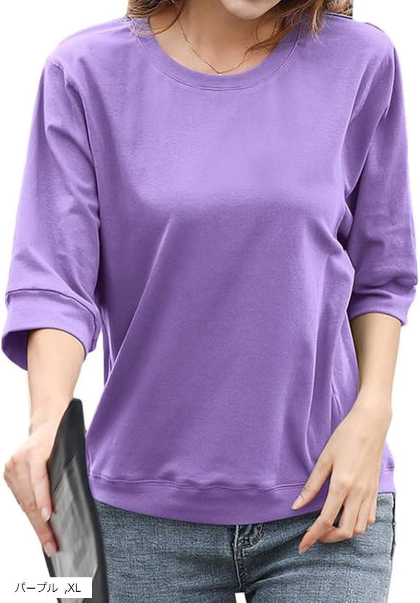 バリエーションコード : 2b6psqv6c8商品コード2b6pqgwgpu商品名フィオリア カットソー Tシャツ 五分袖 ラウンドネック ストレッチ ゆったり トップス レディース FR38 パープル XLブランドFioriorカラーパー...