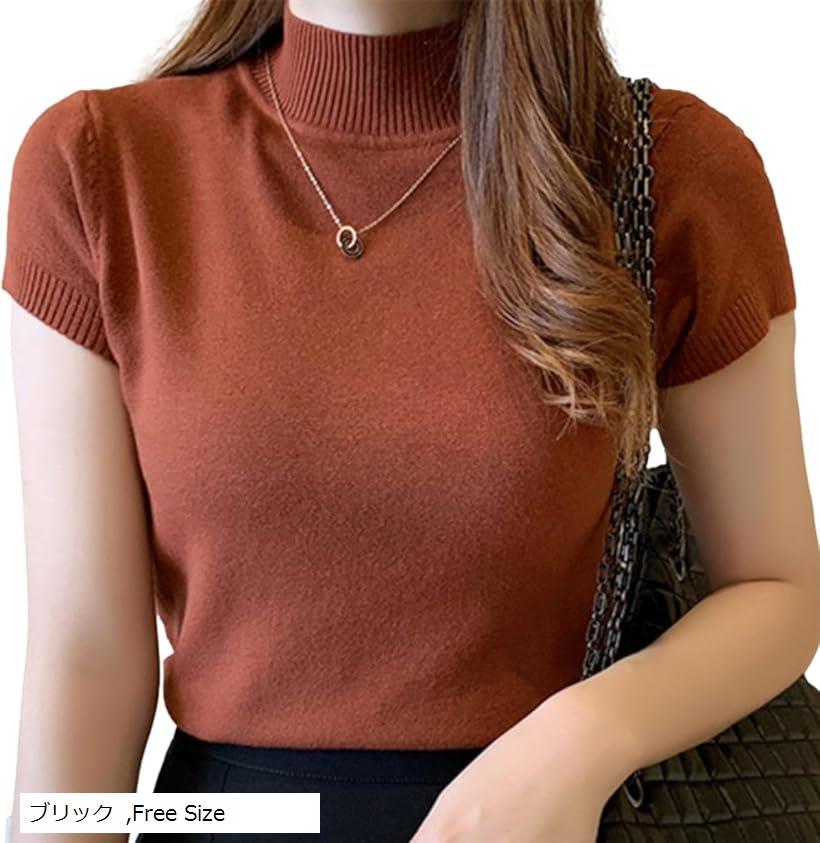 バリエーションコード : 2b2ppyfqxu商品コード2bjdqu46rr商品名カットソー 半袖 フェミニン ハイネック インナー ニットソー カラフル ニット 薄手 ストレッチ おしゃれ きれいめ シルエット スリム かわいい レディー...