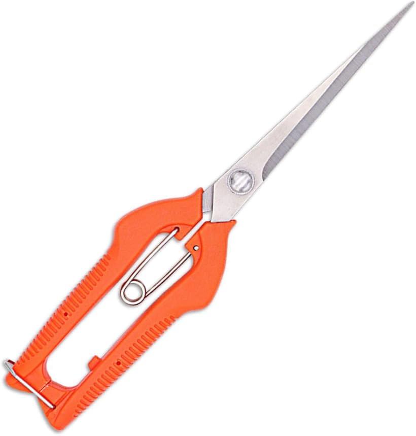 商品コード2b95vjgjwt商品名HOTQ 収穫はさみ 野菜 剪定バサミ 家庭用剪定ばさみ 盆栽剪定 ガーデンツール 園芸用はさみ 野菜収穫に適用ブランドHOTQ「使いやすいデザイン」人間工学に基づいたハンドル設計で、グリップと操作が簡単...