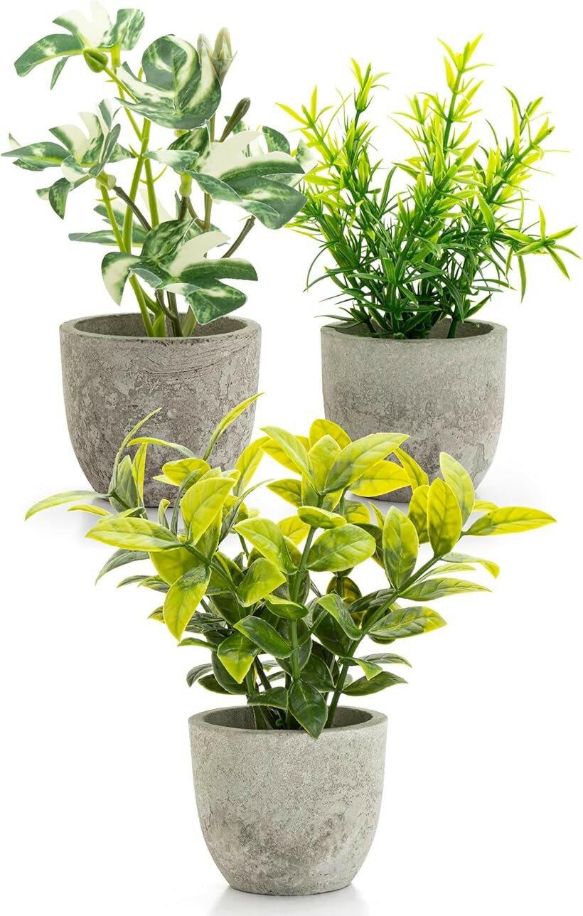 商品コード2b98jrt4dd商品名October1st フェイクグリーン 観葉植物 人工 3点セット 卓上用 光触媒加工 造花 インテリア 小物 ミニ indoor plants 人工植物 fake plant おしゃれ 緑 水やり不要 ...