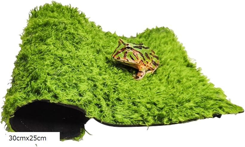 バリエーションコード : 2b9os43s84商品コード2b9os8ct28商品名爬虫類 床材 マット 保温 保湿 シート 飼育 緑 テラリウム a174ブランドActive Islandカラーグリーンサイズ等30cmx25cmこの商品は、...