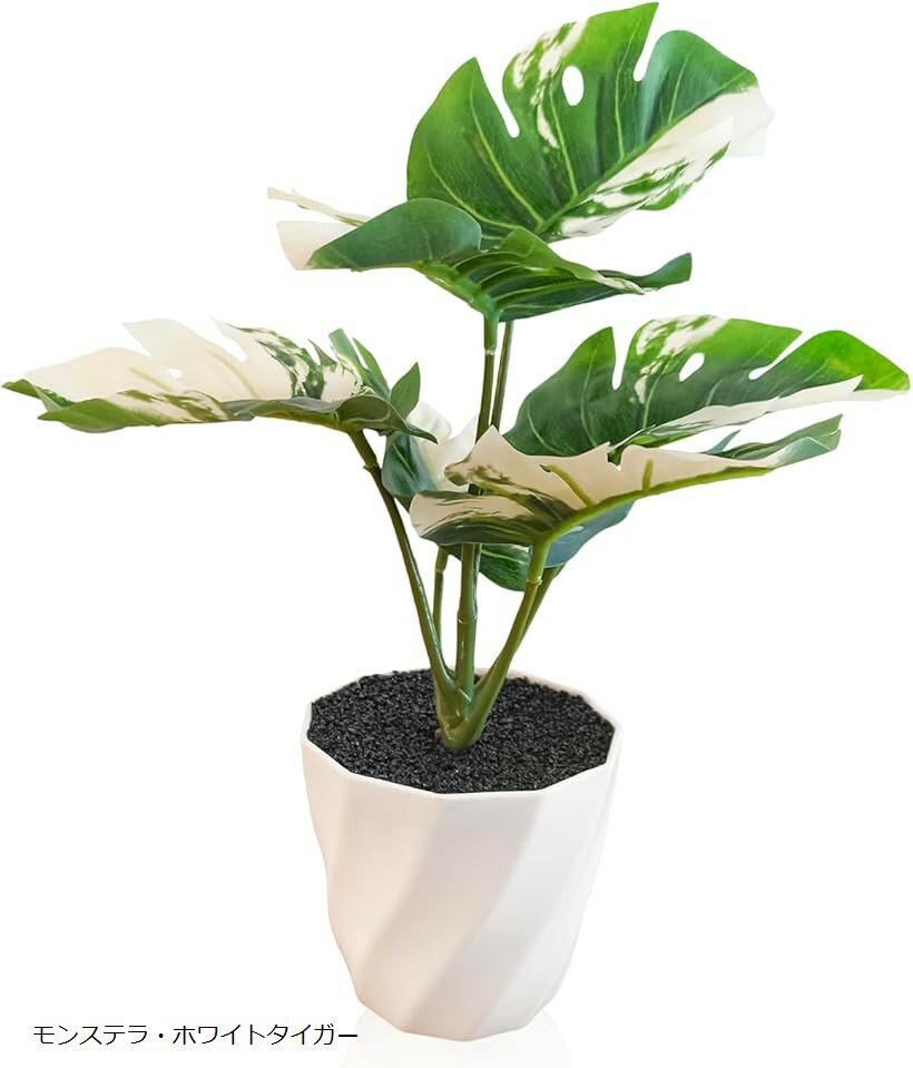 バリエーションコード : 2bu3kt5nk0商品コード2bu3rllpgv商品名観葉植物 フェイク 造花 インテリア フェイクグリーン 卓上 多肉植物 3点セットブランドRUNOカラーモンステラ・ホワイトタイガーサイズ等中おしゃれなフェイ...