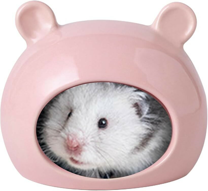 バリエーションコード : 2br0n4ox85商品コード2br0n1j4f1商品名小動物用 陶器製 シェルター ハムスター 隠れ家 ひんやり ハウス 寝床 夏用 小サイズブランドシャンディニー(Chandeny)カラーピンクサイズ等小サイズ...