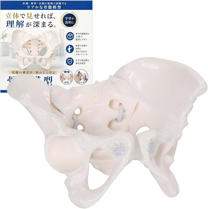 商品コード2brn0vgu9j商品名骨盤模型 ミニ 手のひらサイズ 仙腸関節 恥骨 可動式 伸縮コード 女性骨盤 人体模型 骨格模型 持ち運び 教材 セミナーブランドAfter7「説明の説得力が変わる可動式骨盤模型」 股関節・仙腸関節が可動...