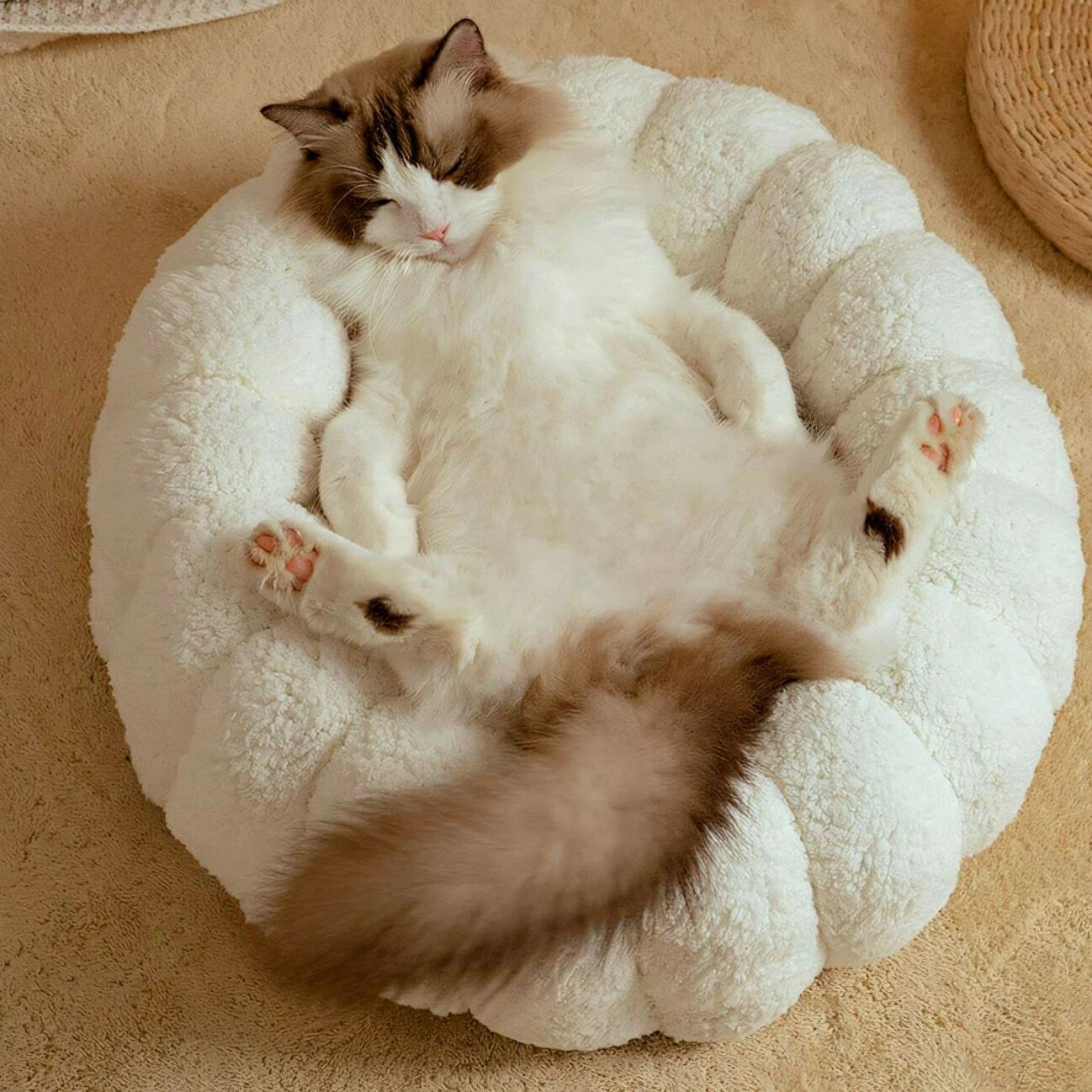 この商品は2点で500円割引 猫 こたつ 猫 ベッド 冬 ドーム型 ねこのおふとん キャットハウス 柔らかいフランネル 猫ハウス ペットベッド もこもこ 暖かい 布団 寝具 マットクッション ペット用 猫 ねこ ネコ あったか ドーム型 小...