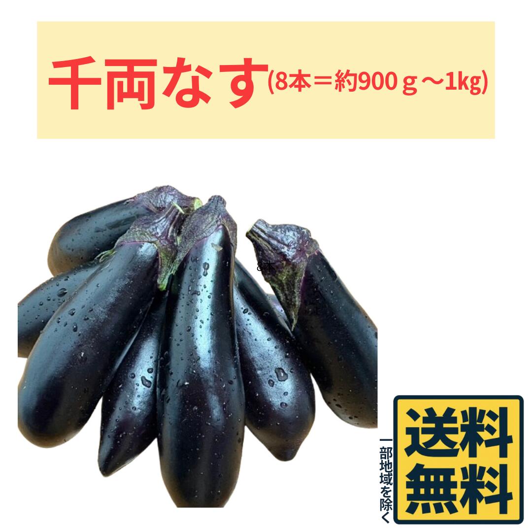 商品情報名称千両なす産地名国内産 岡山県産内容量8本保存方法常温又は季節により冷蔵保存備考遺伝子組換えではありません岡山県産 福本園芸 朝採り 千両なす 野菜 ナス ナスビ 茄子 新鮮 8本 900g〜1kg 【 送料無料 】【 当日発送 ...