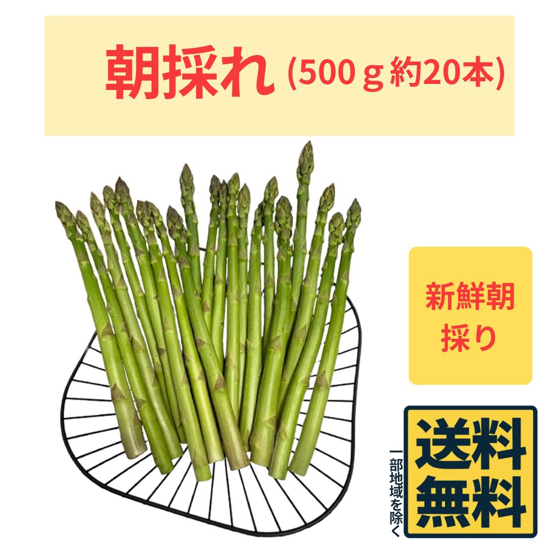 商品情報名称アスパラガス産地名岡山県岡山市内容量500g保存方法冷蔵庫で保存備考遺伝子組換えではありませんアスパラガス ウェルカム 岡山県産 500g約20本 新鮮 朝取り 野菜 新鮮 【 送料無料 】 アスパラガス ウェルカム 岡山県産 ...