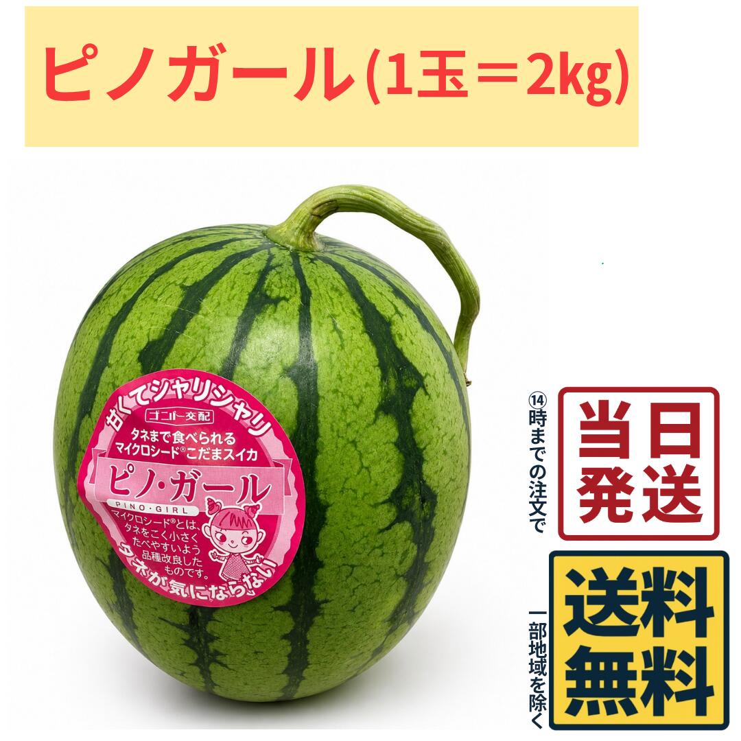 商品情報名称すいか産地名国内産(岡山県産)内容量1玉、2kg以上保存方法冷蔵庫で保存備考岡山県産 小玉すいか ピノガール 1玉 2kg以上 糖度11度以上 スイカ 西瓜 新鮮 果物 フルーツ 【 送料無料 】【 当日発送 】 岡山県産 小玉...