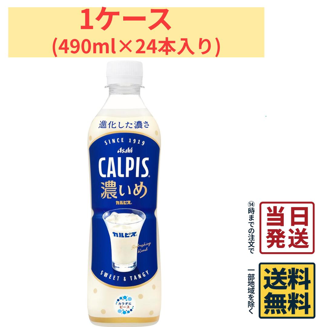 商品情報名称カルピス CALPIS 濃いめ 490ml×24本原材料名砂糖類（果糖ぶどう糖液糖（国内製造）、砂糖）、脱脂粉乳、乳酸菌飲料／酸味料、安定剤（大豆多糖類）、香料内容量490ml×24本賞味期限2026年11月30日保存方法直射日...