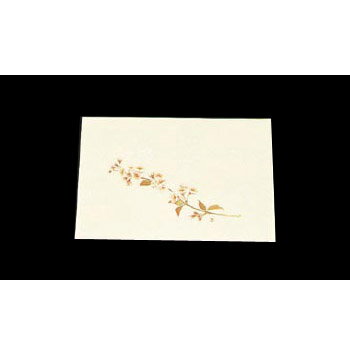 懐石まっと WSS-4 尺三 (100枚入) クリーム 桜●264×390(100枚入)●桜(2月～4月)●懐石まっと 尺三 四季の花●遠赤外線抗菌和紙クリーム●波動の良い遠赤抗菌和紙でおもてなしの心を伝えて下さい。●優れた抗菌効果と遠赤外...