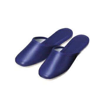 スリッパ S-323L(白薄底)前閉じスカイブルー(017)●カラー:スカイブルー●材質:カーフレザー/天然ゴム入スポンジ底●抗菌※メーカー希望小売価格はメーカーカタログに基づいて掲載しています。(カタログ表示価格は消費税が含まれていません)