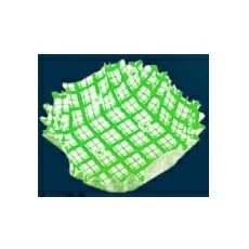 H30 底径:60×60※メーカー希望小売価格はメーカーカタログに基づいて掲載しています。(カタログ表示価格は消費税が含まれていません)