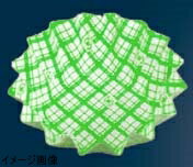 H33 底径:φ58※メーカー希望小売価格はメーカーカタログに基づいて掲載しています。(カタログ表示価格は消費税が含まれていません)