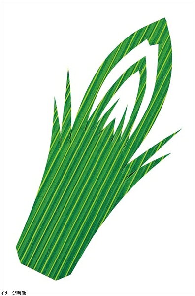 125×60※メーカー希望小売価格はメーカーカタログに基づいて掲載しています。(カタログ表示価格は消費税が含まれていません)●生バランは黄色の線が等間隔に入っています。