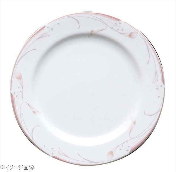 ●アルミクロンチャイナとは、工業用パーツにも使われる強度の高いアルミナと呼ばれる原料を用い、高温で焼成した独自の技術によって開発された強化磁器です。そのため強度,耐熱性に富み、ハードユースな業務用として使用できます。強度だけでなく優れたデザ...