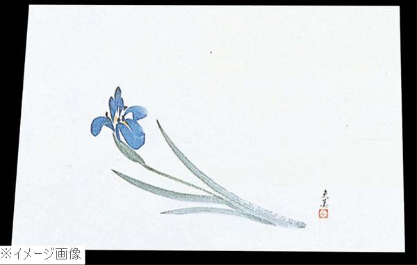 ●日本の四季に応じたおもてなし●日々のこまやかな情緒,心情を、春夏秋冬、それぞれ独特の深い趣を宴席にいかがでしょうか。※メーカー希望小売価格はメーカーカタログに基づいて掲載しています。(カタログ表示価格は消費税が含まれていません)外寸(mm...