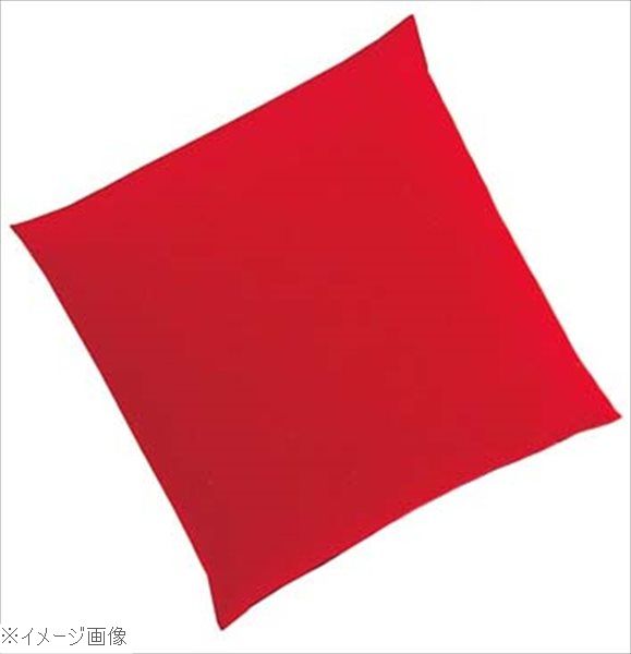 ●縫いつけ式でチャックはついていないため、中綿の交換はできません。※メーカー希望小売価格はメーカーカタログに基づいて掲載しています。(カタログ表示価格は消費税が含まれていません)外寸(mm)460×460×H70