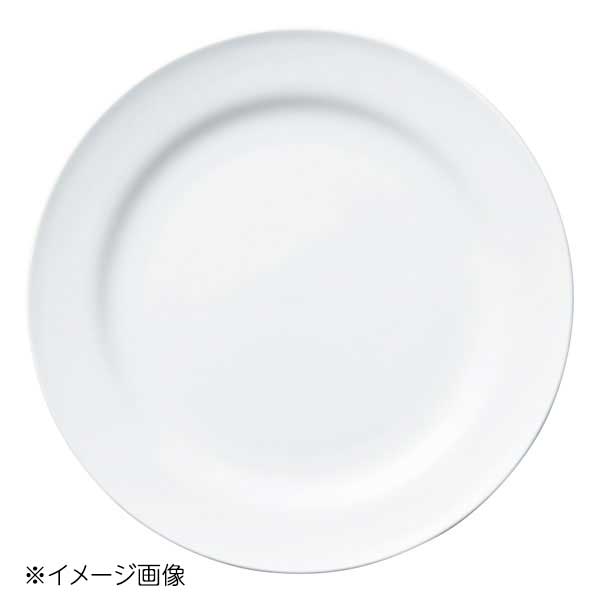 プレーンなリム形状の強化磁器●サイズ：φ20.0×H2.0cm ●素材：強化磁器 ●品番：T183-033-89※メーカー希望小売価格はメーカーカタログに基づいて掲載しています。(カタログ表示価格は消費税が含まれていません)※画像はイメージ...