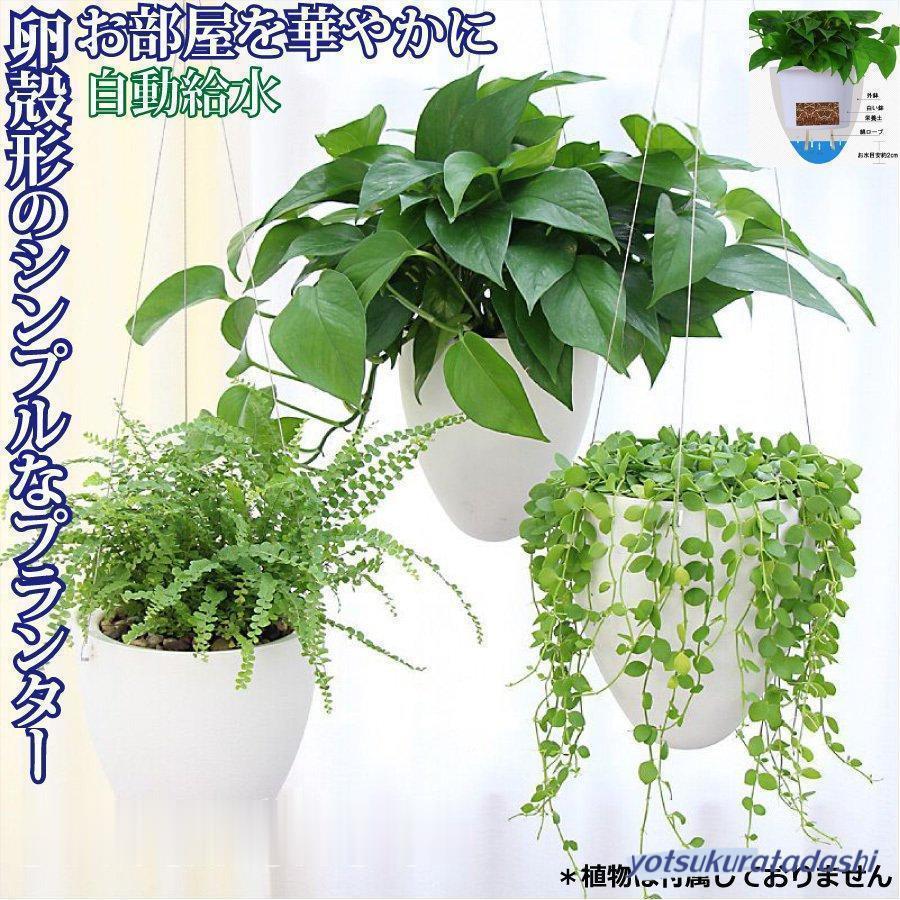 卵 オシャレ 壁掛け 吊り下げ モダン プランター ハンギングバスケット 観葉植物 インテリア 室内 屋外 おしゃれ吊り下げ用のプランターポットセット：多肉植物や観葉植物などを飾るための吊り下げ用のプランターポットセットとなっております。ワ...