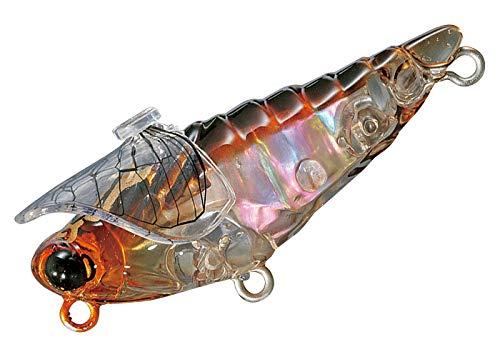 スミス(SMITH LTD) 大美蝉シェル