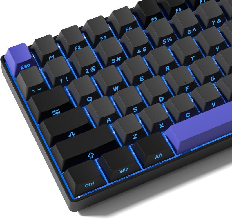 Womier キーキャップ 123キー ダブルショット PBT 光透過 Cherry プロファイル メカニカルキーボード対応キーキャップ素材：高品質なPBT素材を使用したダブルショット製法により、文字が消えにくく耐久性に優れています。光透過...