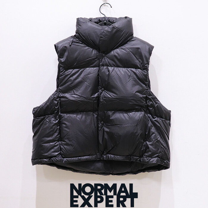 メーカー希望小売価格はメーカー商品タグに基づいて掲載しています[ NORMALEXPERT（ノーマルエキスパート）] FLOAT PANEL　NEX24-D01 【 NORMALEXPERT（ノーマルエキスパート）】 直観的に使う昨日だけを...