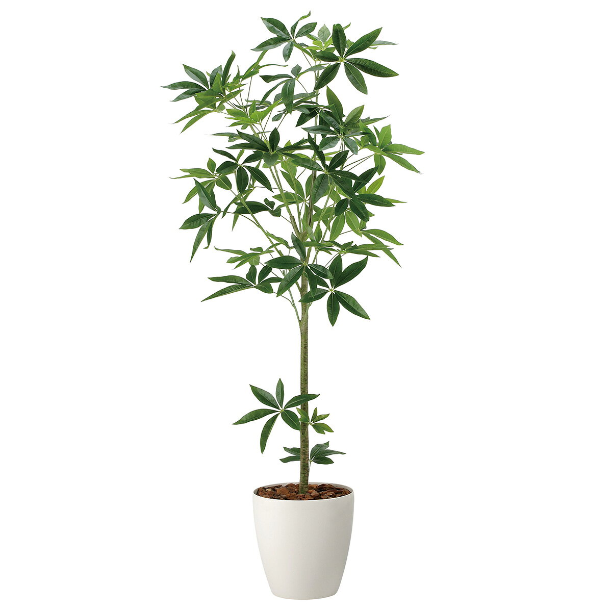 商品詳細（サイズ）■器：ポリプロピレン■機能：酸化チタン光触媒 V-CAT（消臭　抗菌　防汚　ホルムアルデヒド分解）　空気浄化（アセトアルデヒド）■サイズ：W700×D650×H1700■鉢サイズ：φ300（上面）×φ200（底面）×H30...