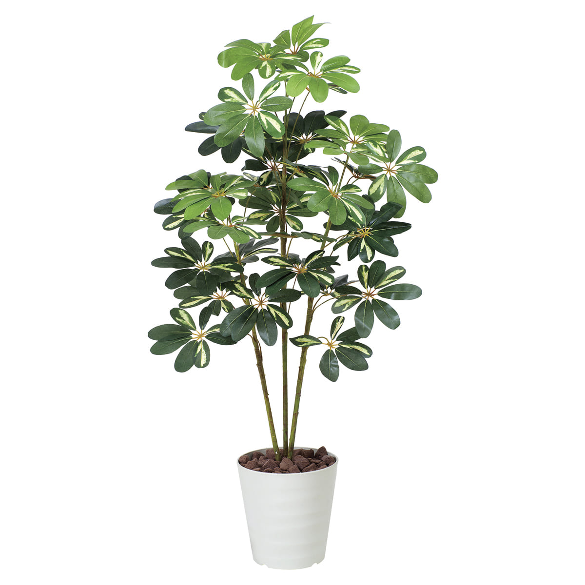 商品詳細（サイズ）■器：ポリプロピレン■機能：酸化チタン光触媒 V-CAT（消臭　抗菌　防汚　ホルムアルデヒド分解）　空気浄化（アセトアルデヒド）■サイズ：W600×D450×H1200■鉢サイズ：φ240（上面）×φ170（底面）×H26...