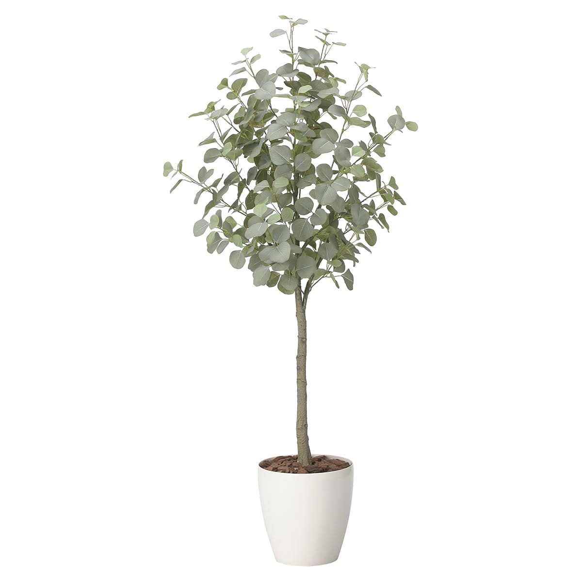 商品詳細（サイズ）■器：ポリプロピレン■機能：酸化チタン光触媒 V-CAT（消臭　抗菌　防汚　ホルムアルデヒド分解）　空気浄化（アセトアルデヒド）■サイズ：W600×D550×H1650■鉢サイズ：φ300（上面）×φ200（底面）×H30...