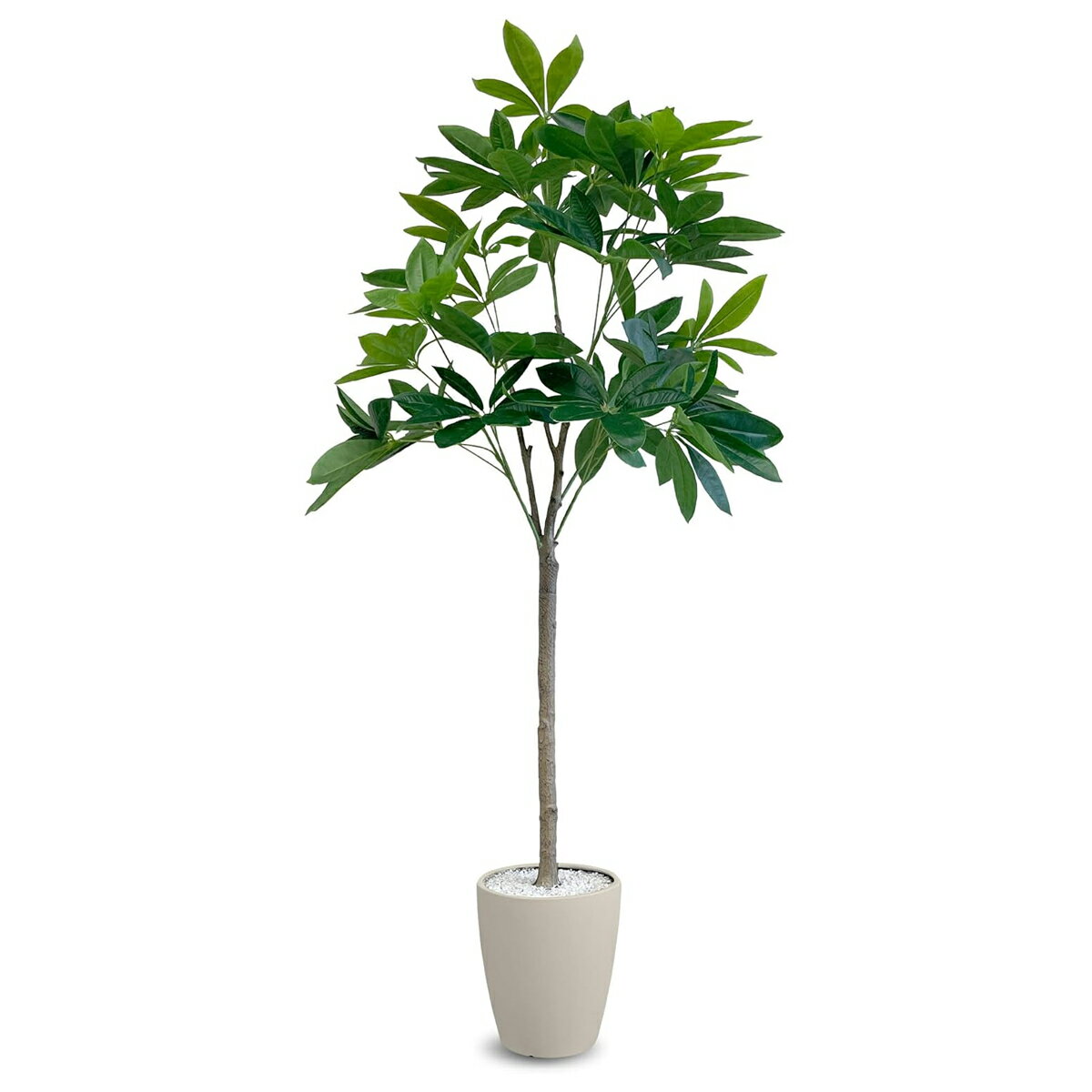 商品詳細（サイズ）■材質：高密度ポリエチレン　ウレタン　天然石　セメント■重量：約8.8kg■サイズ：W800×D800×H1800■鉢サイズ：φ280×H300■補足：お客様組立品／光触媒【注意事項】※サイズは葉の広げ方で変わります。北海...
