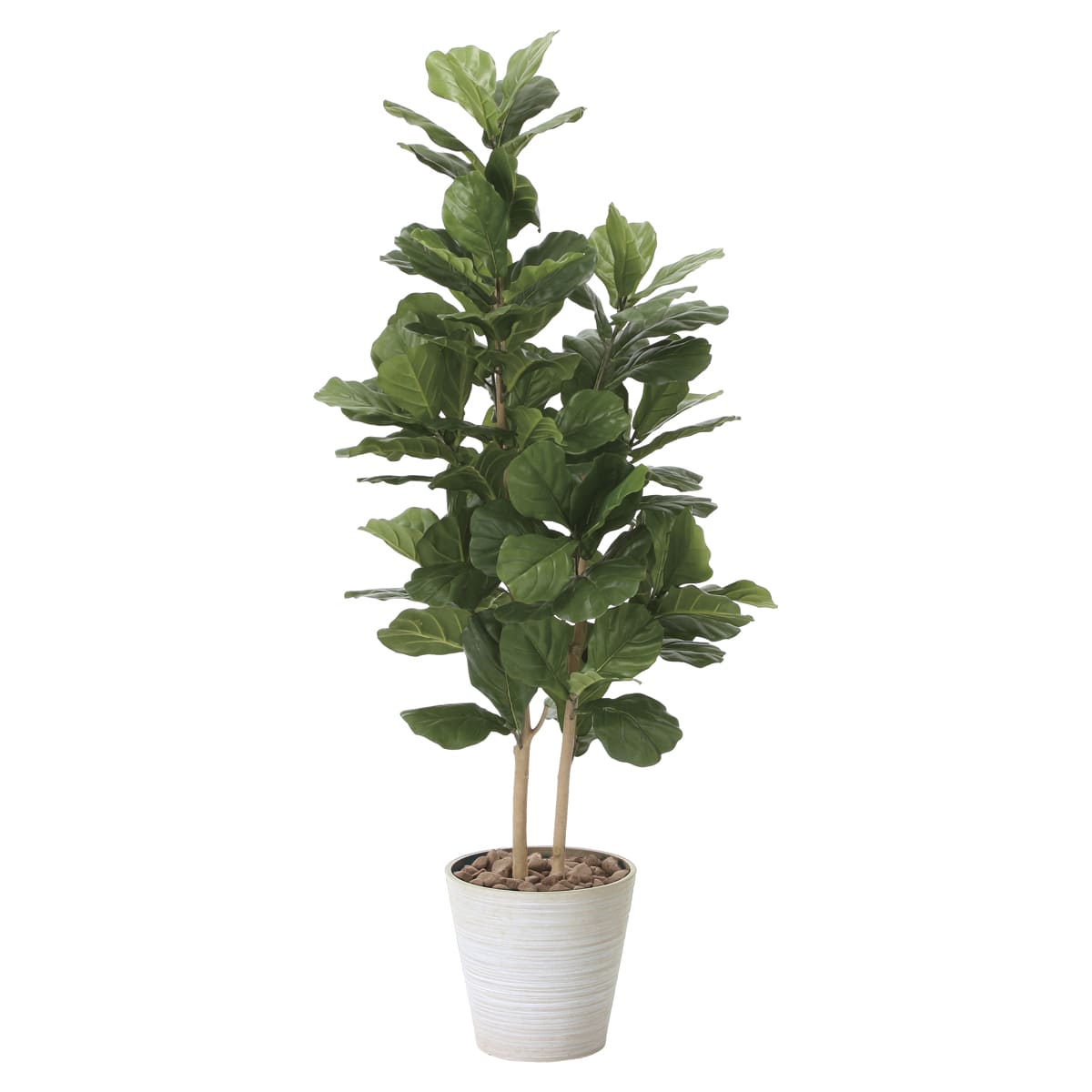 商品詳細（サイズ）■器：ポリプロピレン■機能：酸化チタン光触媒 V-CAT（消臭　抗菌　防汚　ホルムアルデヒド分解）　空気浄化（アセトアルデヒド）■サイズ：W650×D600×H1600■鉢サイズ：φ300（上面）×φ210（底面）×H29...