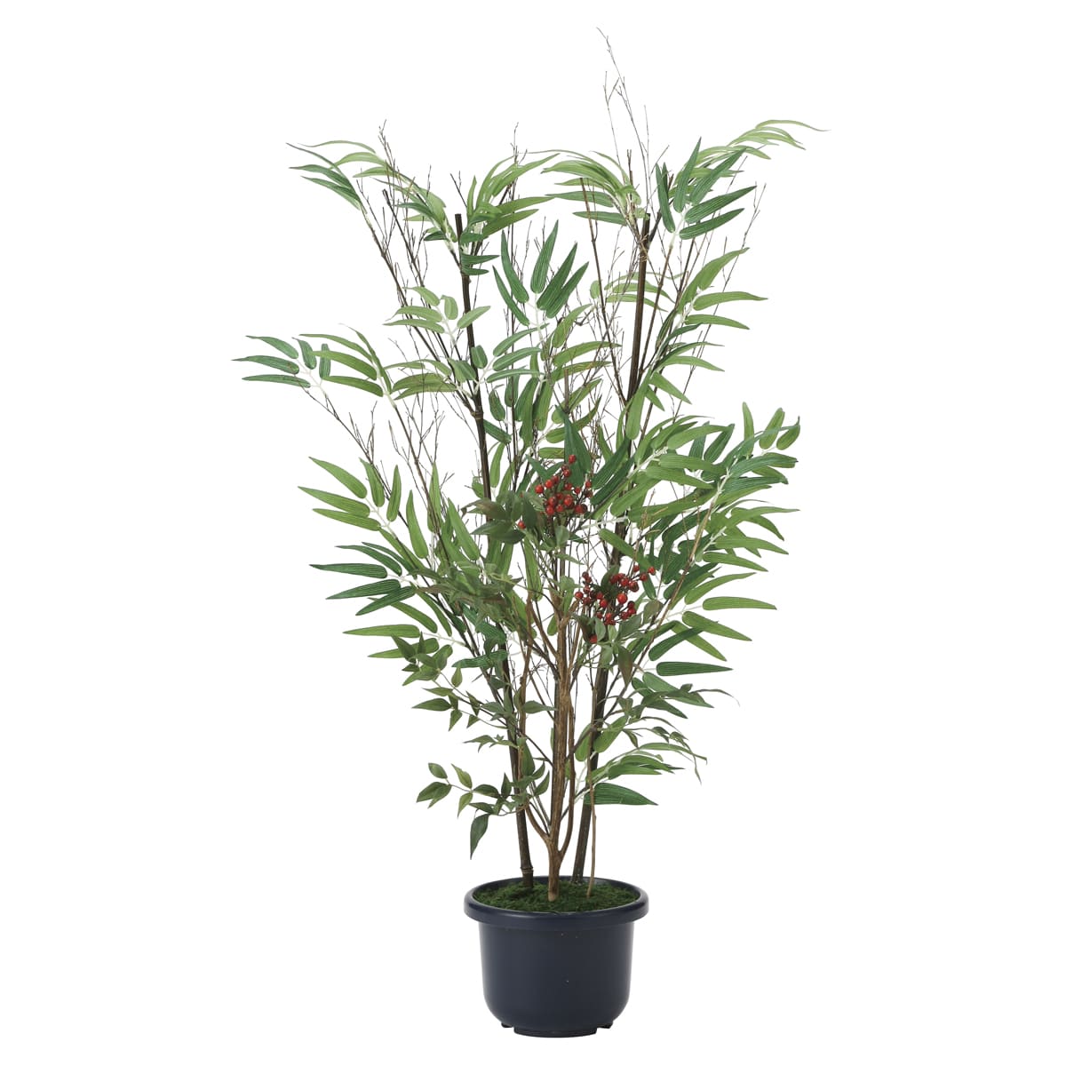 商品詳細（サイズ）■器：ポリプロピレン■機能：酸化チタン光触媒 V-CAT（消臭　抗菌　防汚　ホルムアルデヒド分解）　空気浄化（アセトアルデヒド）■サイズ：W550×D450×H1000■鉢サイズ：φ215（上面）×φ130（底面）×H15...